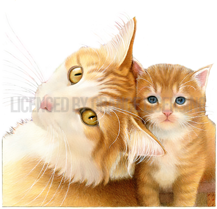 Francien van Westering – Orange Licensing