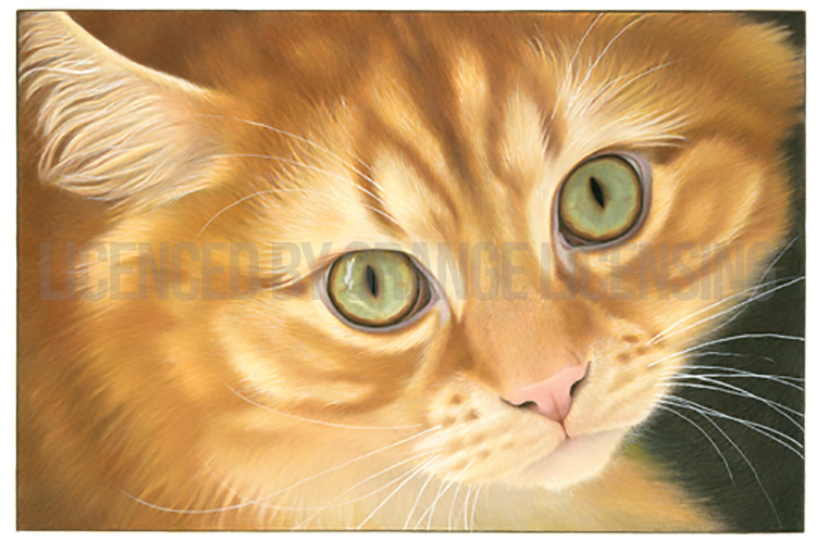 Francien van Westering - Orange Licensing