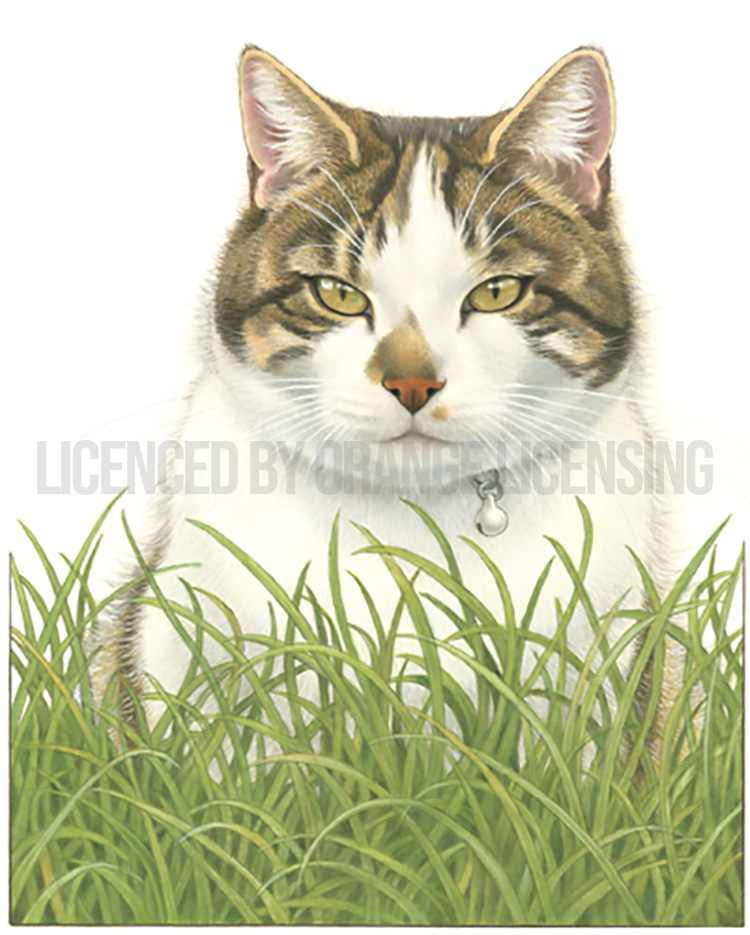 Francien van Westering – Orange Licensing