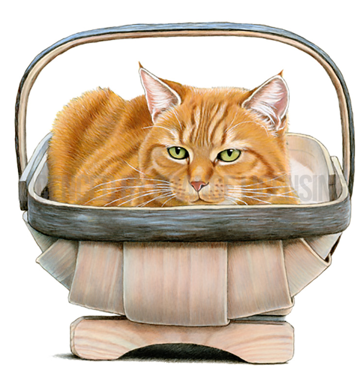 Francien van Westering – Orange Licensing